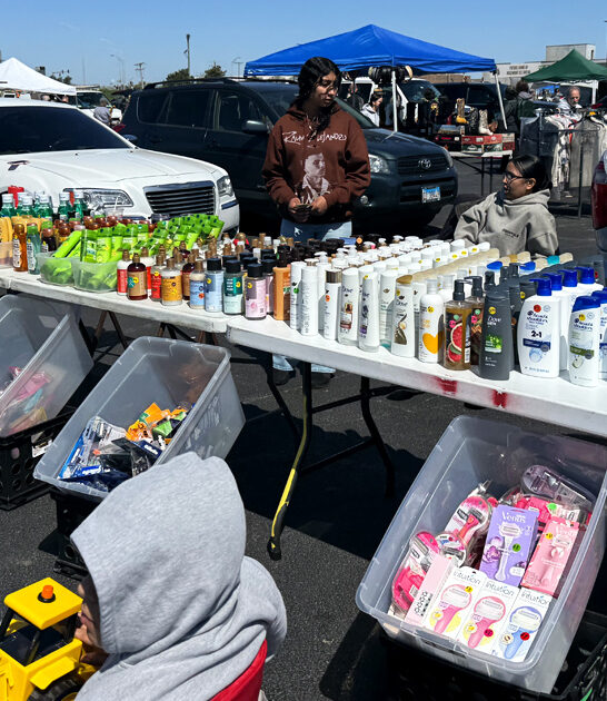 immense flea markets illinois ftr