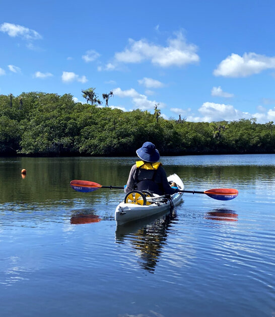 incredible park florida gorgeous ftr