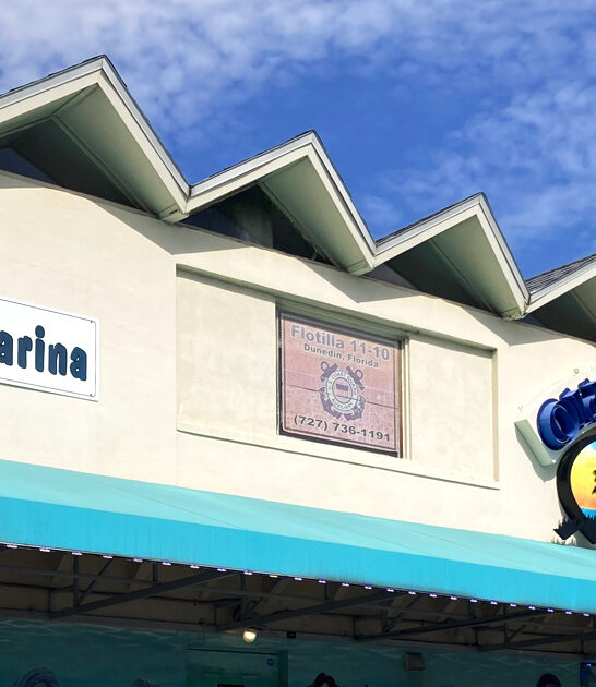 incredibly fresh seafood florida ftr