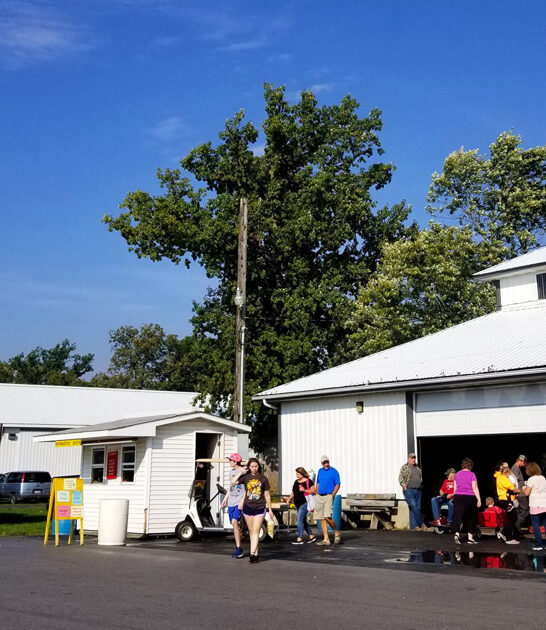 inexpensive flea markets ohio ftr