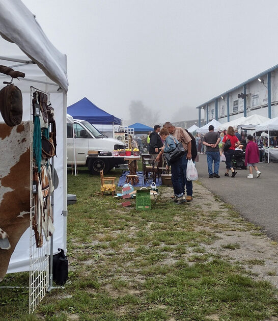insane deals flea virginia ftr
