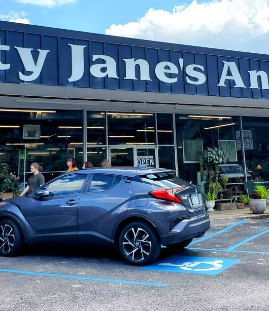 interesting antique store tennessee ftr