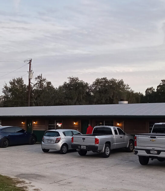 irresistible bologna sandwich florida ftr