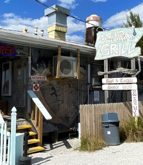 irresistible fish chips florida ftr