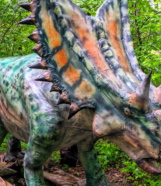 jurassic tennessee park escape ftr