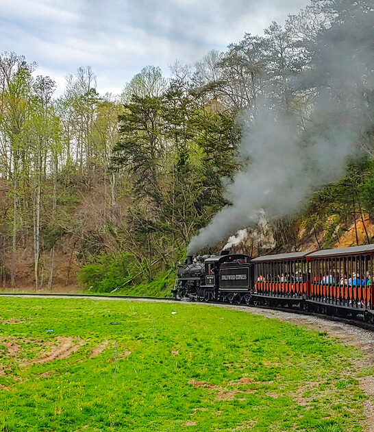 kid train ride tennessee FTR
