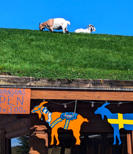 kitschy restaurant wisconsin pancakes ftr