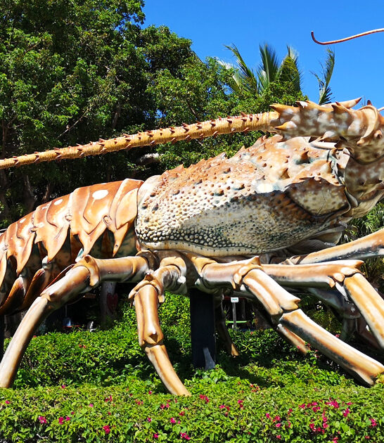 known roadside attraction florida ftr