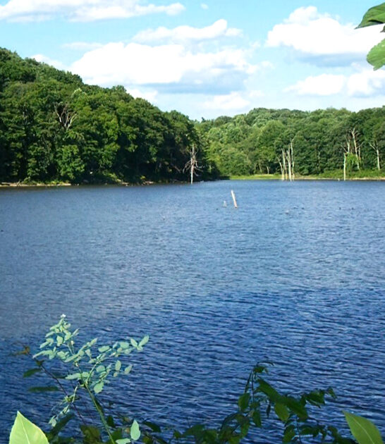 lakeside ohio park stunning ftr