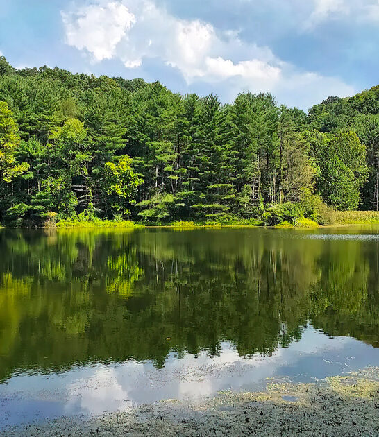 large scenic park ohio ftr