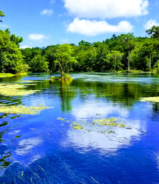 large surreal park florida ftr