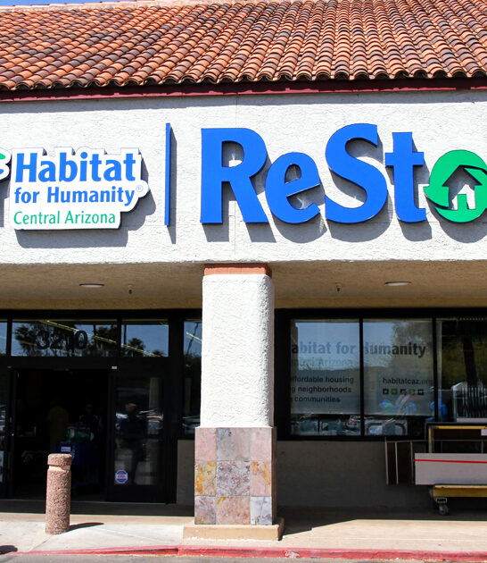 largest bargain carts arizona ftr