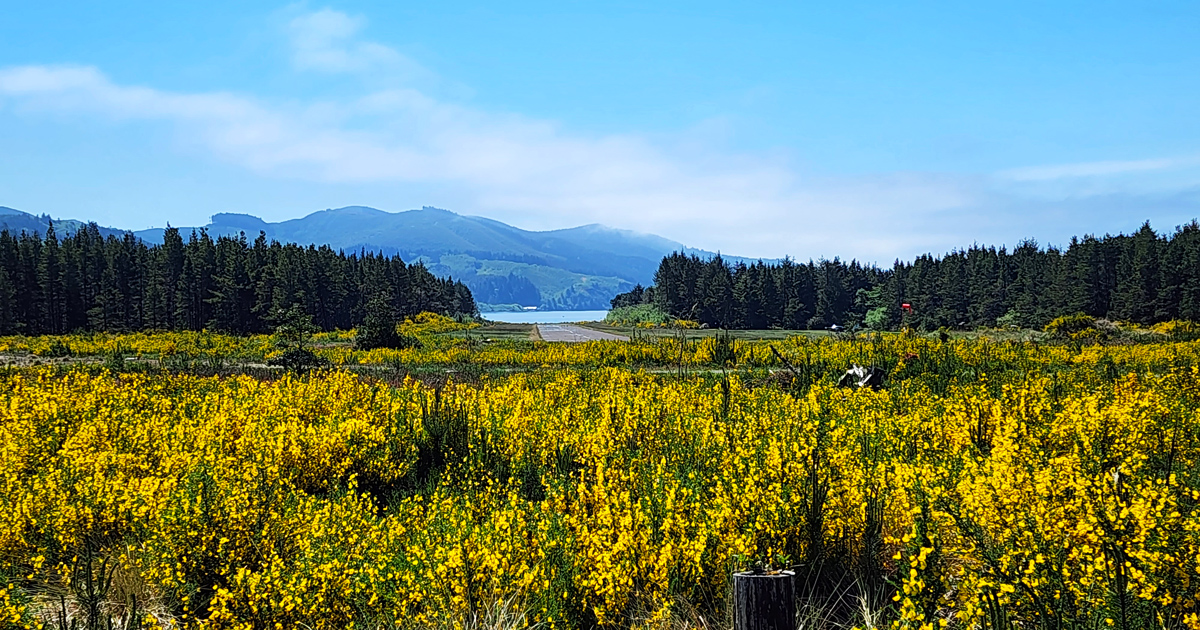 This Underrated State Park In Oregon Is So Little Known, You’ll Have It ...