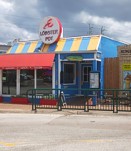 lobster rolls florida succulent ftr