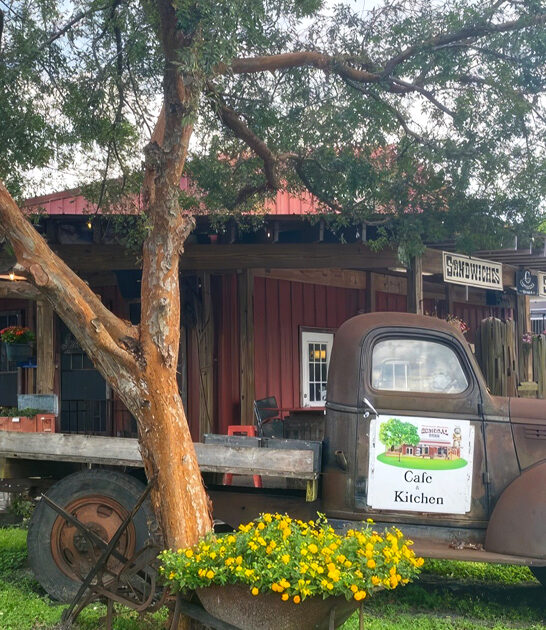 locals store florida sandwiches ftr