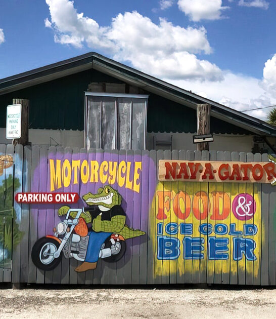 lowkey coconut shrimp florida ftr