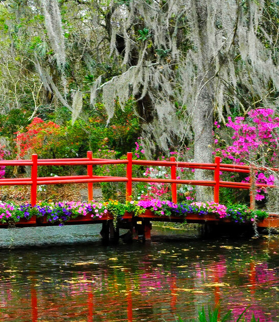 lush escape south carolina ftr