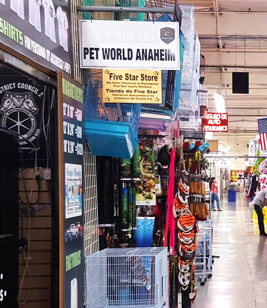 market california biggest bargains ftr