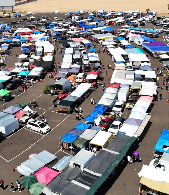 market flea gigantic arizona ftr