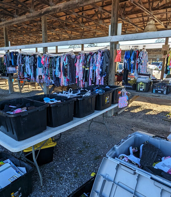 market georgia bargain hunting ftr