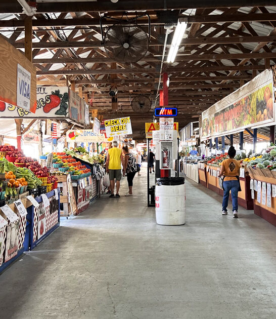 market gigantic florida ftr