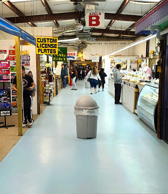 market massive florida flea ftr