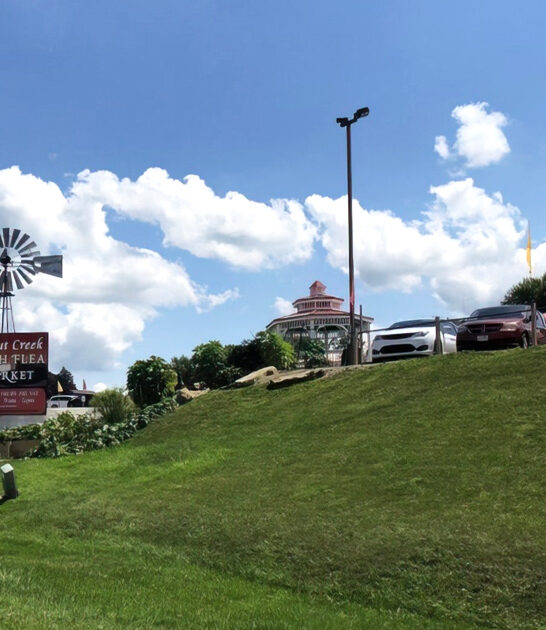market ohio gigantic flea ftr