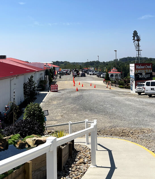 market rare treasures ohio ftr