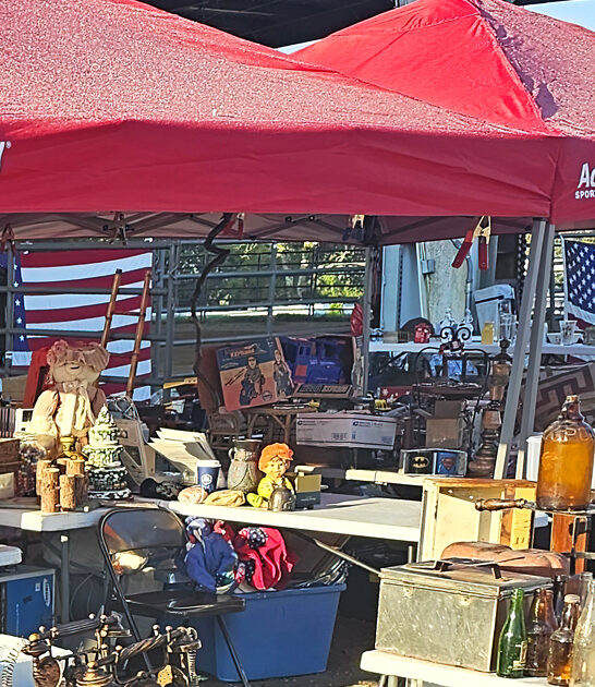 market tennessee amazing bargain ftr