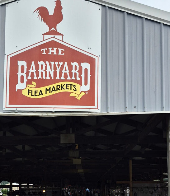 markets massive north carolina ftr