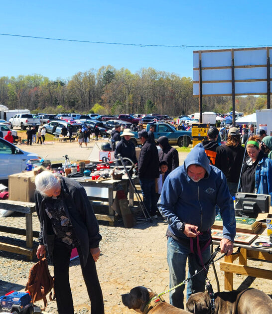 markets north carolina antique ftr