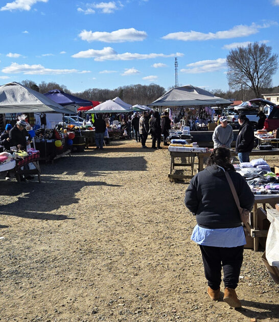 markets north carolina gigantic ftr