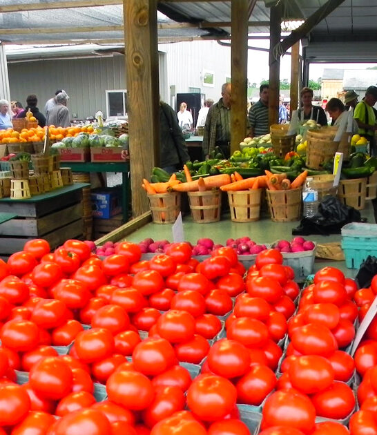 markets pennsylvania massive flea ftr