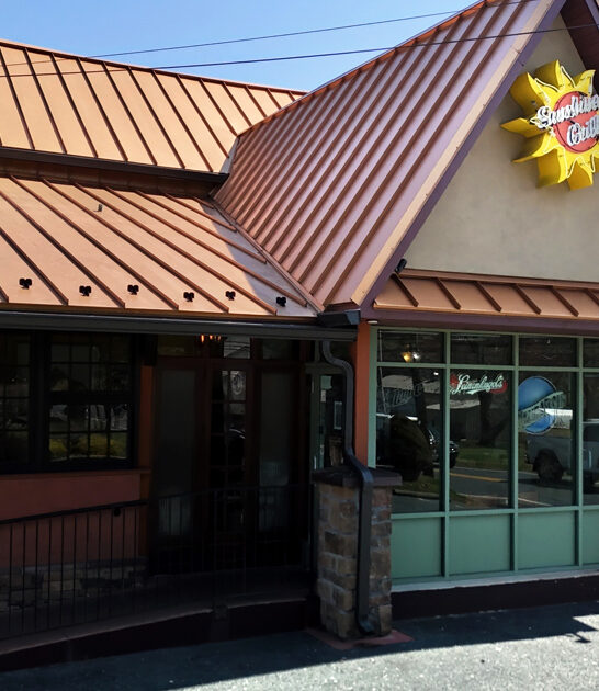 maryland delectable gyro platter ftr