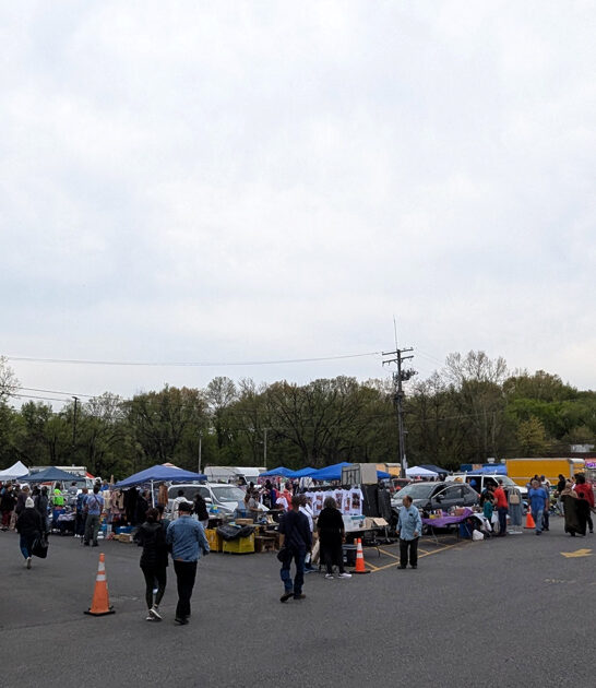 maryland massive flea markets ftr