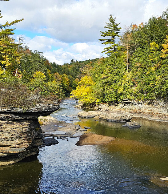maryland park relaxation haven ftr