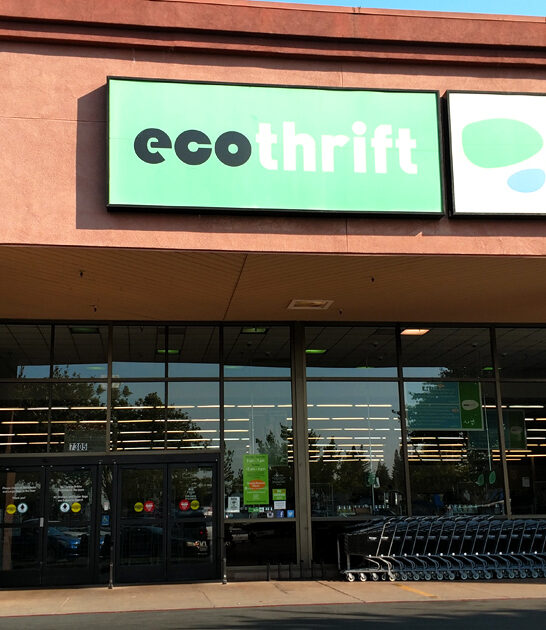 massive california thrift affordable ftr