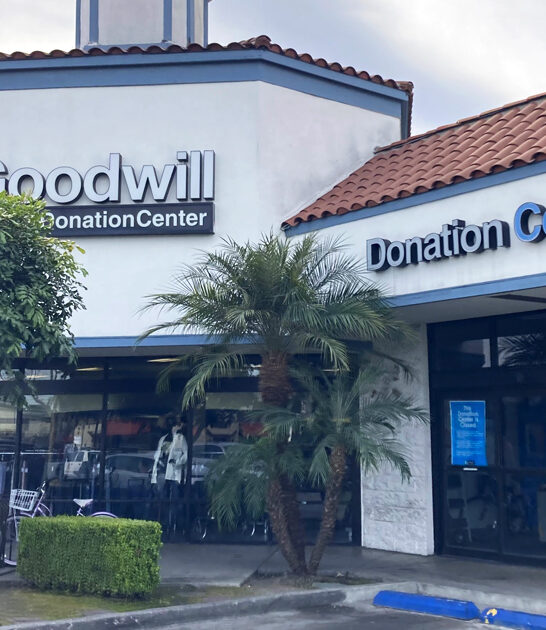 massive california thrift treasures ftr