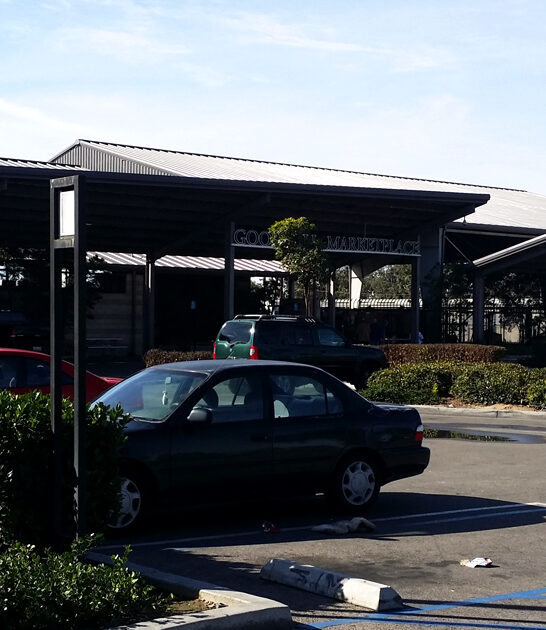 massive california whole bargains ftr