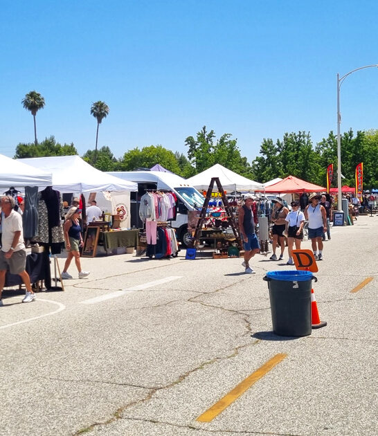 massive flea california drive ftr