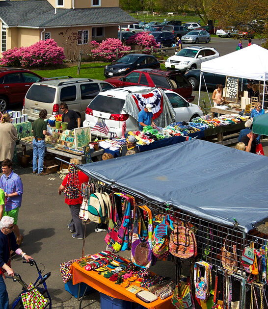 massive flea pennsylvania days ftr