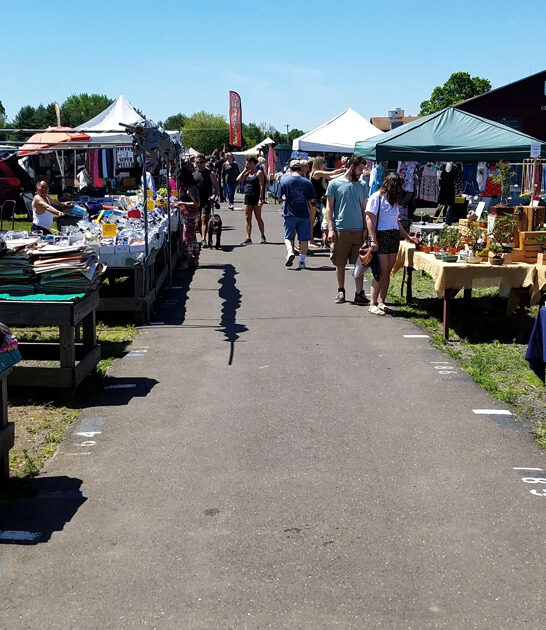 massive flea pennsylvania yourself ftr