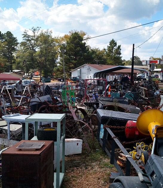massive flea tennessee good ftr