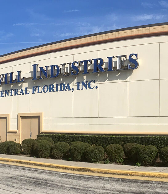 massive florida thrift paradise ftr