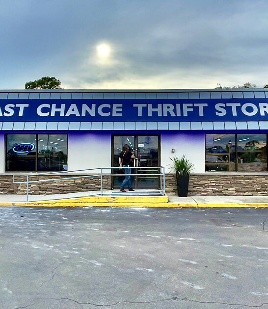 massive imagine store florida ftr