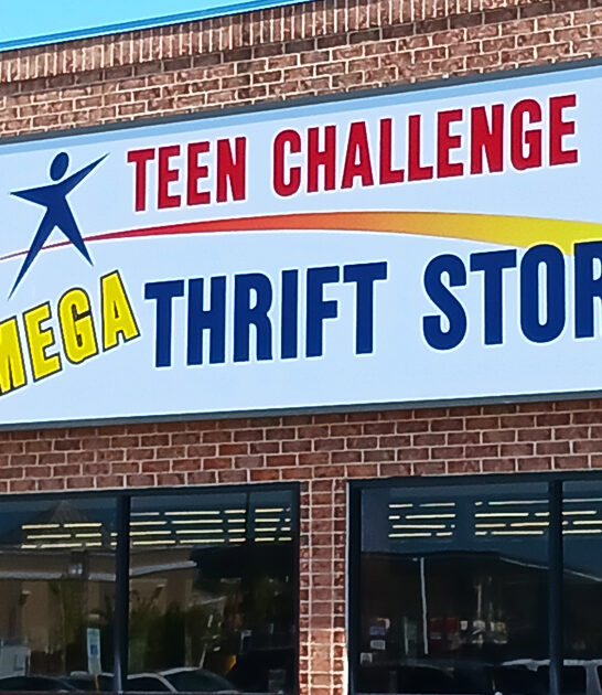 massive store delaware thrift ftr