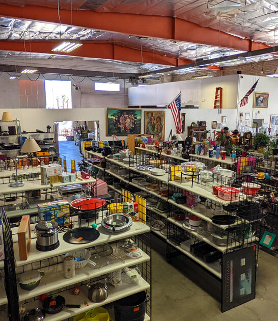 massive thrift california long ftr