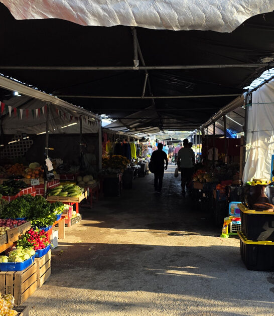 massive thrift florida imagine ftr