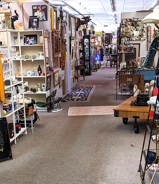 massive treasures store florida ftr