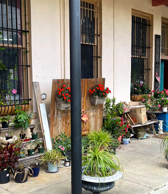 massive vintage florida store ftr